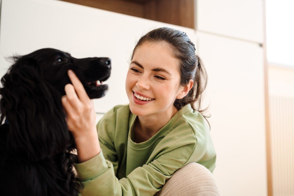 How To Find A Feeding Schedule That Works For Your Dog s Lifestyle How To Find A Feeding Schedule That Works For Your Dog s Lifestyle