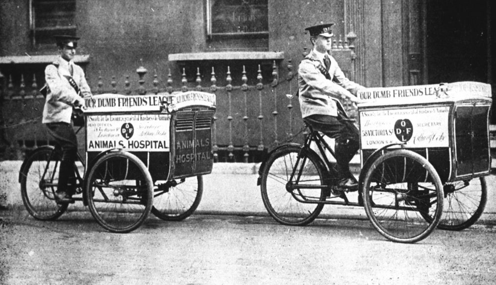 Blue Cross Marks 125 Years of Changing Lives of Pets and Their People ...