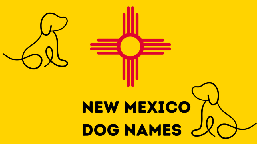 250 New Mexico Dog Names And Meanings Petsyclopedia News