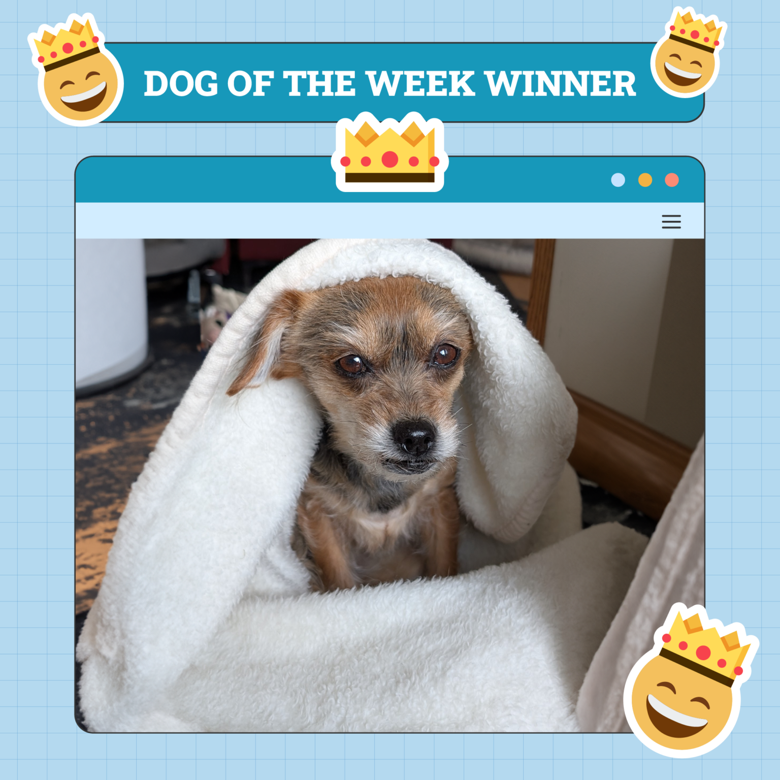 Dogster Photo Contest: Dogs of the Week Winners (April 10, 2025 ...